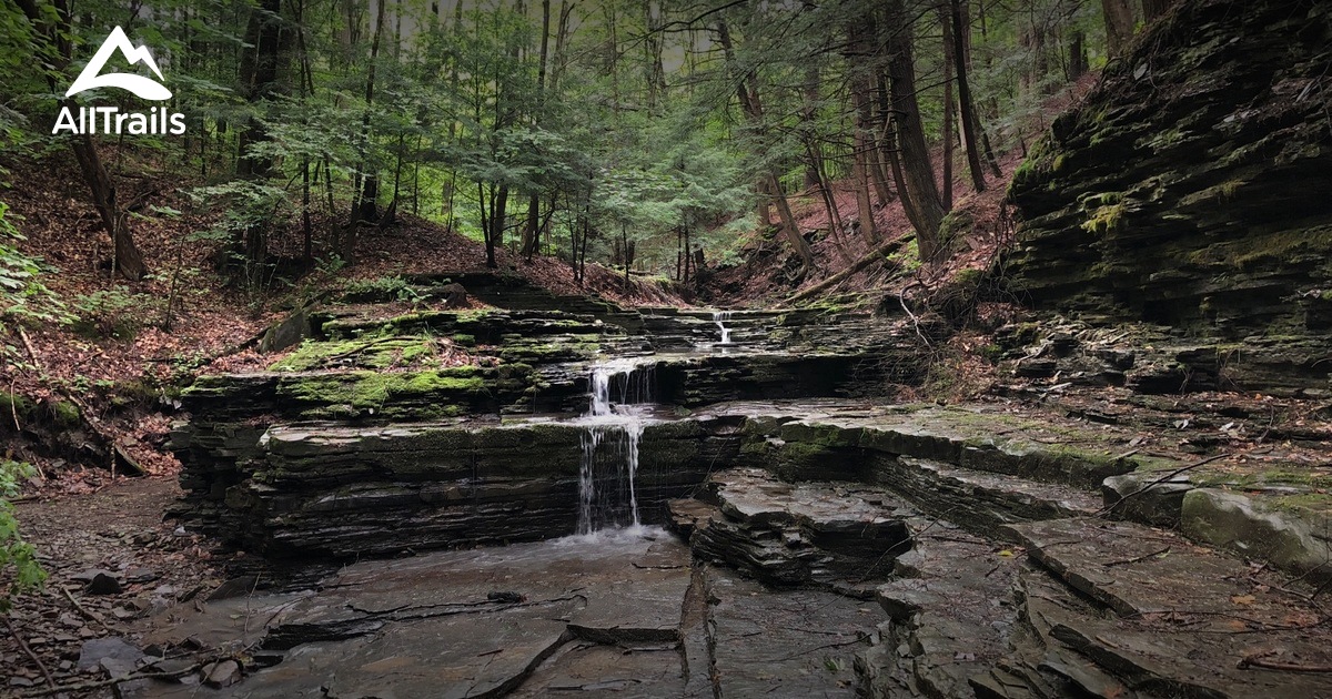 Best trails in Alpine, New York | AllTrails