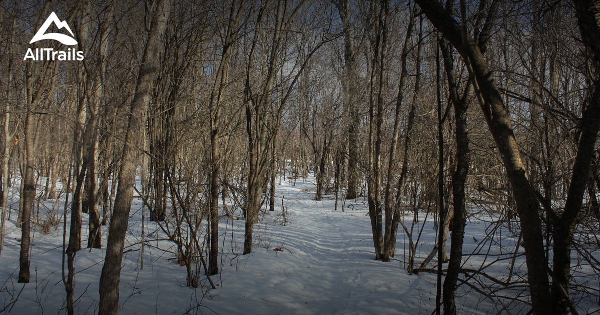 10 Best trails and hikes in Altamont | AllTrails