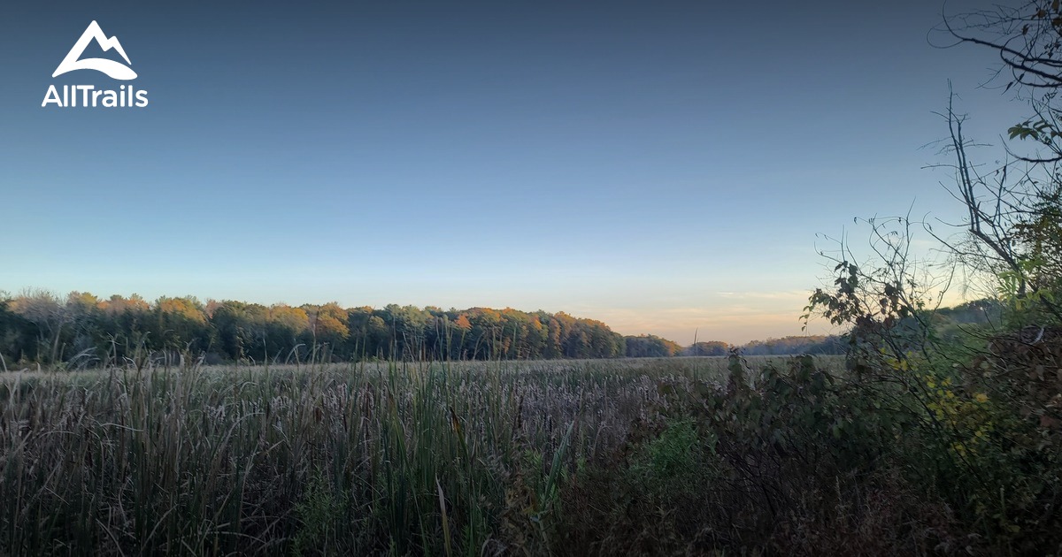 Best forest trails in Athens | AllTrails