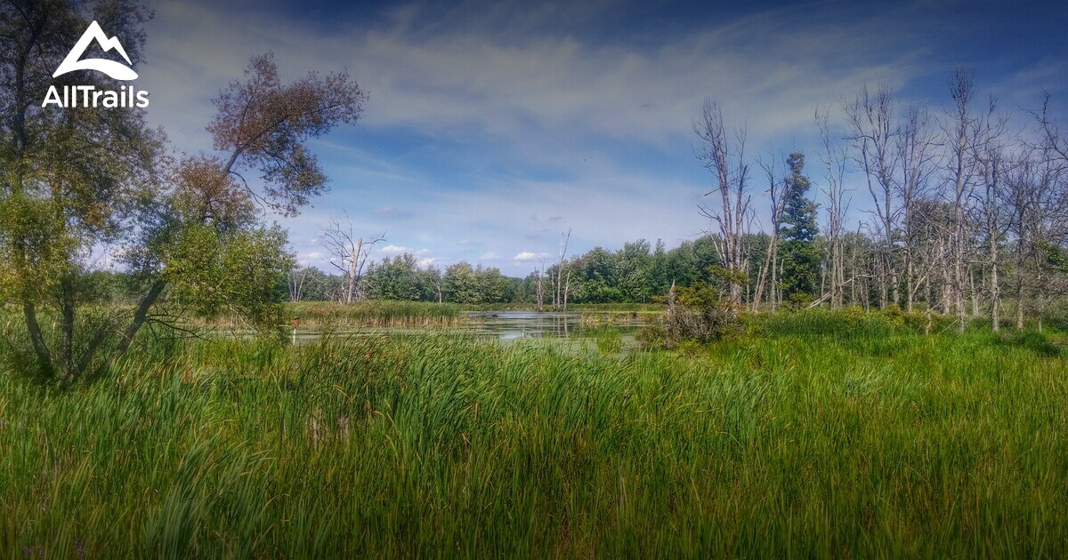 Best hikes and trails in Basom | AllTrails