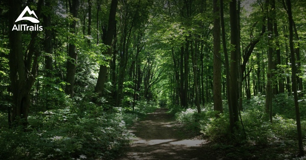 Best hikes and trails in Bemus Point | AllTrails