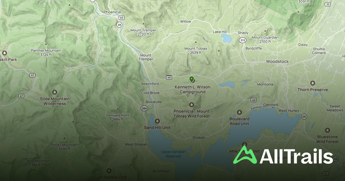 Die Besten Routen mit Leinenpflicht in Boiceville | AllTrails