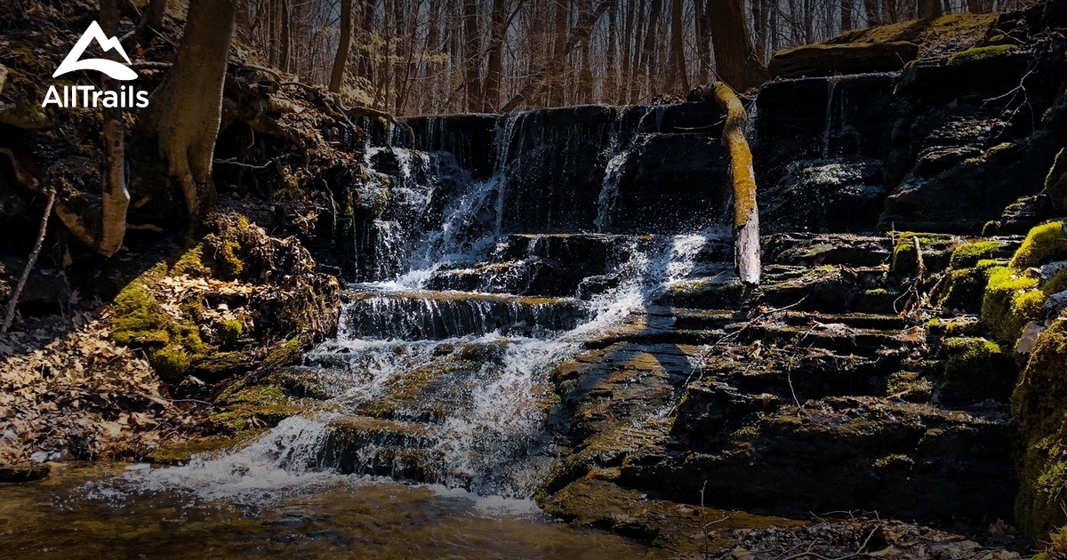 Best hikes and trails in Branchport | AllTrails