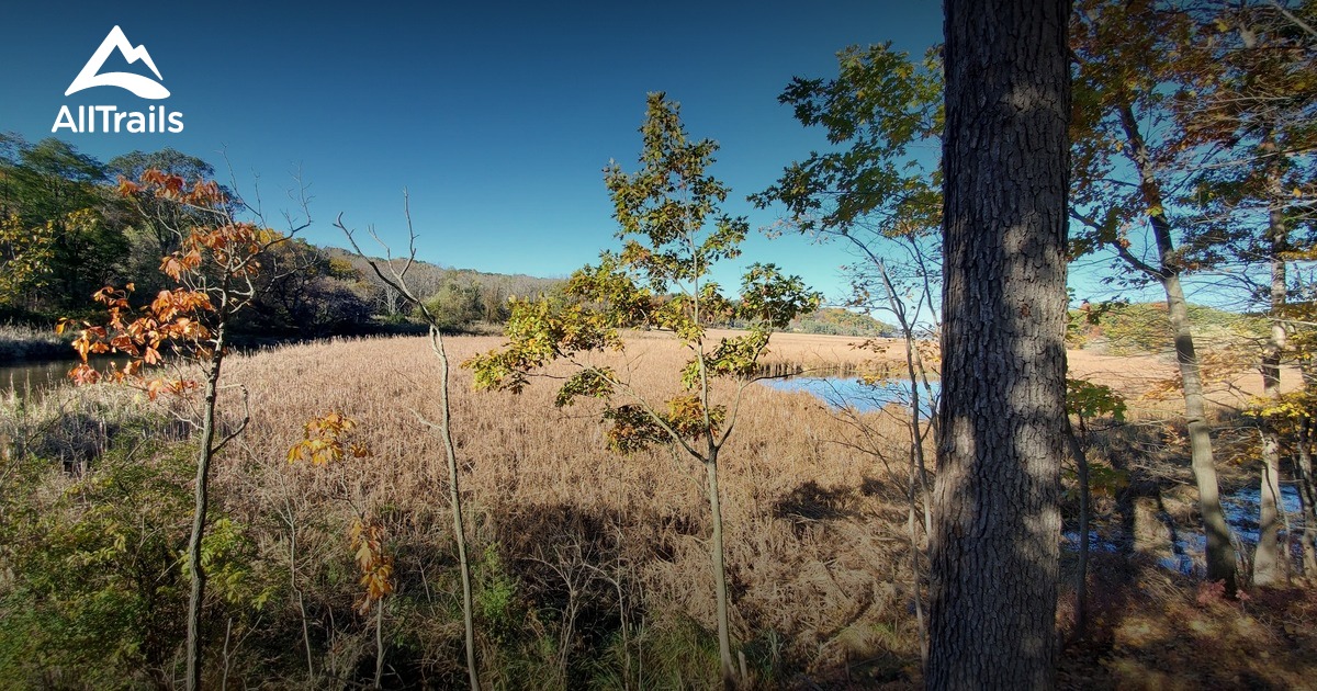 Best hikes and trails in Brighton | AllTrails