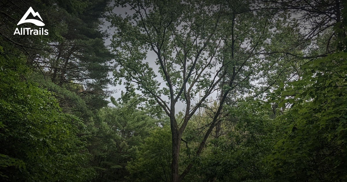 Best hikes and trails in Cambridge | AllTrails