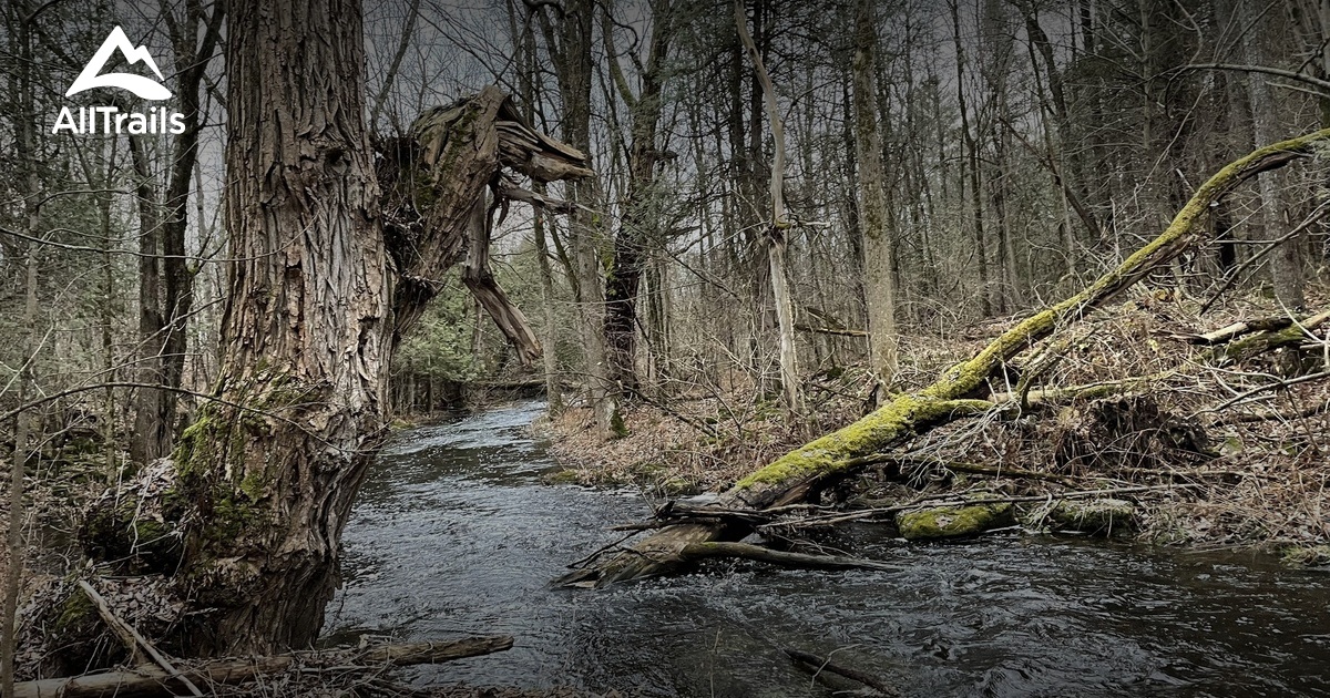 Best forest trails in Chazy | AllTrails