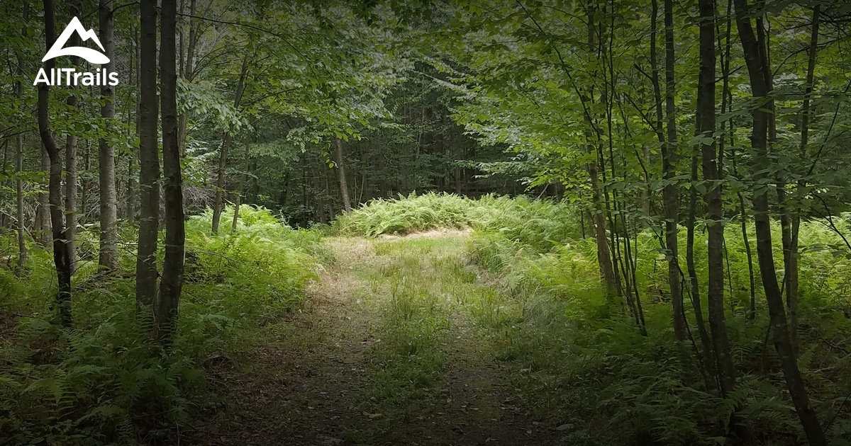 Best hikes and trails in Cochecton | AllTrails