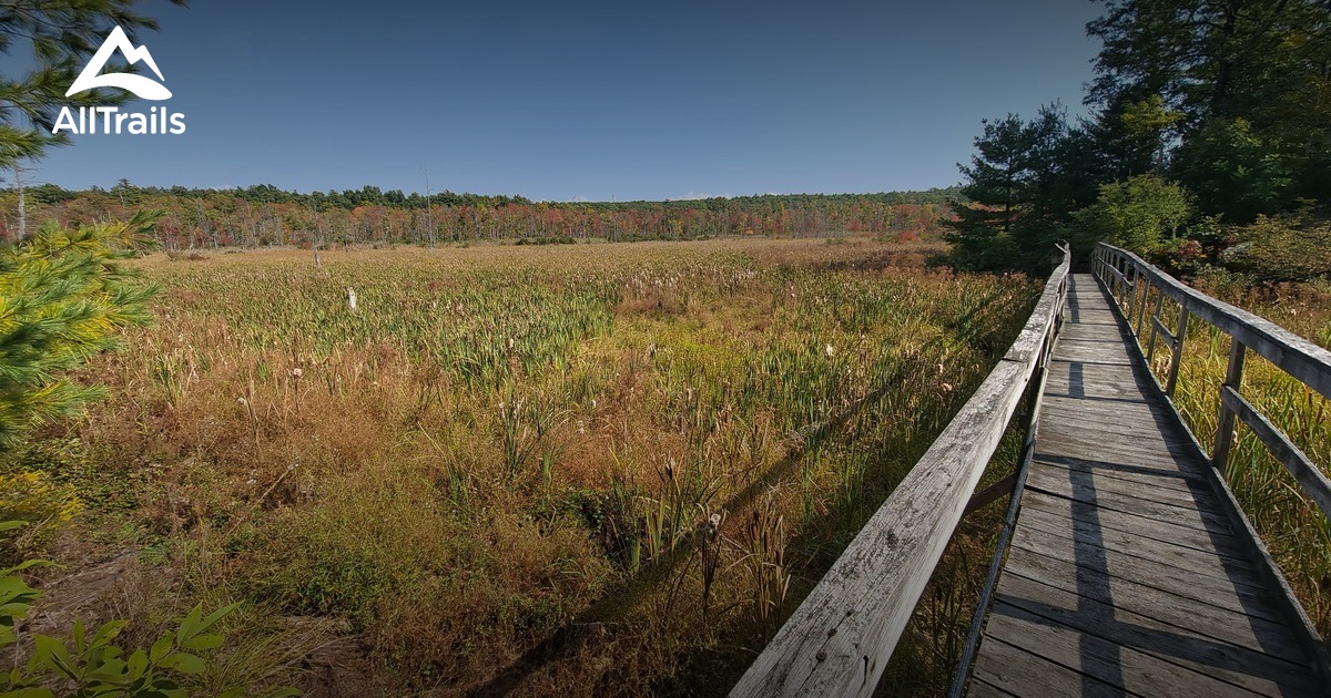 Best hikes and trails in Coeymans | AllTrails