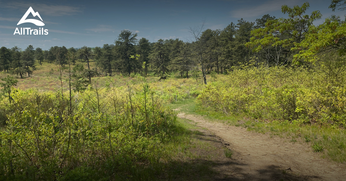 10 Best trails and hikes in Colonie | AllTrails