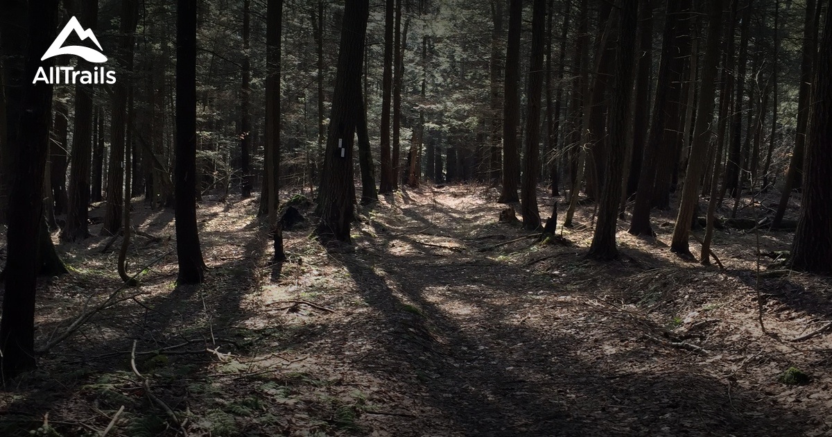 Best hikes and trails in Dryden | AllTrails