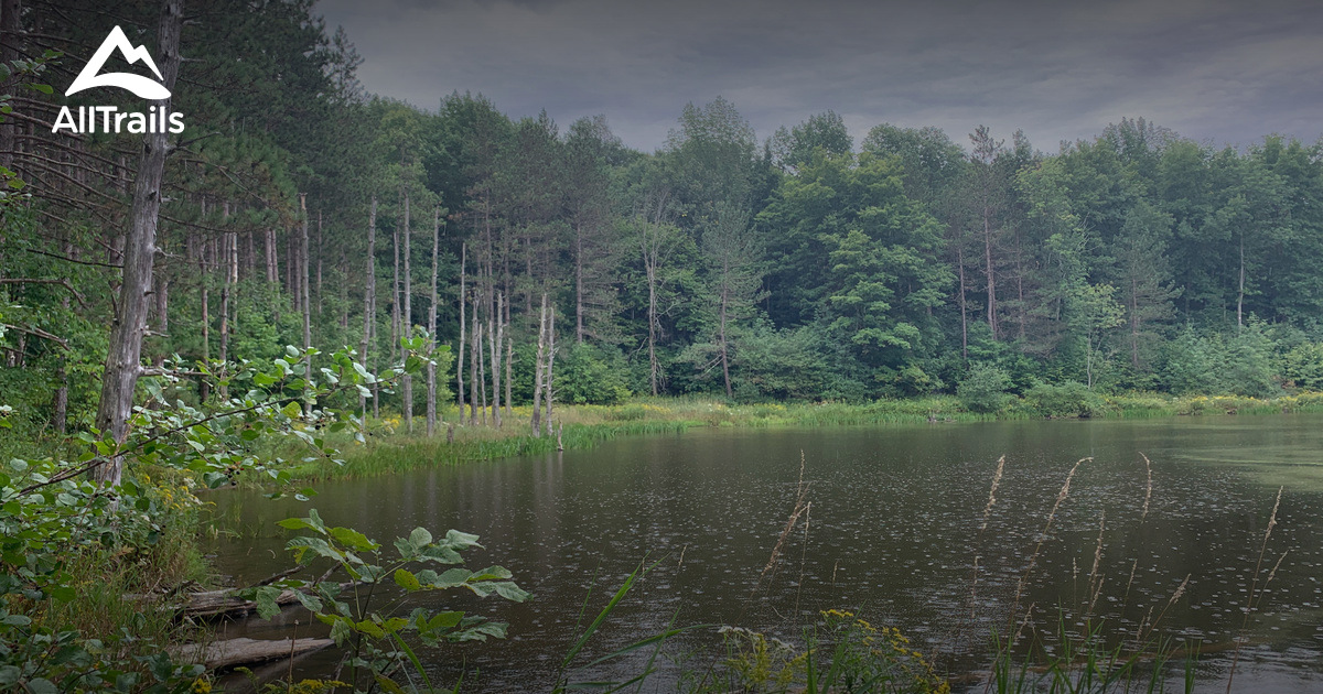 Best hikes and trails in Franklinville | AllTrails