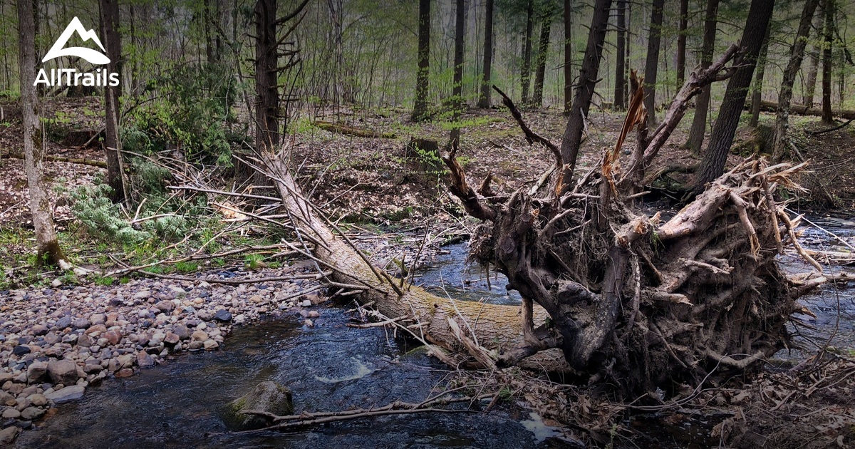 Best hikes and trails in Greenfield | AllTrails