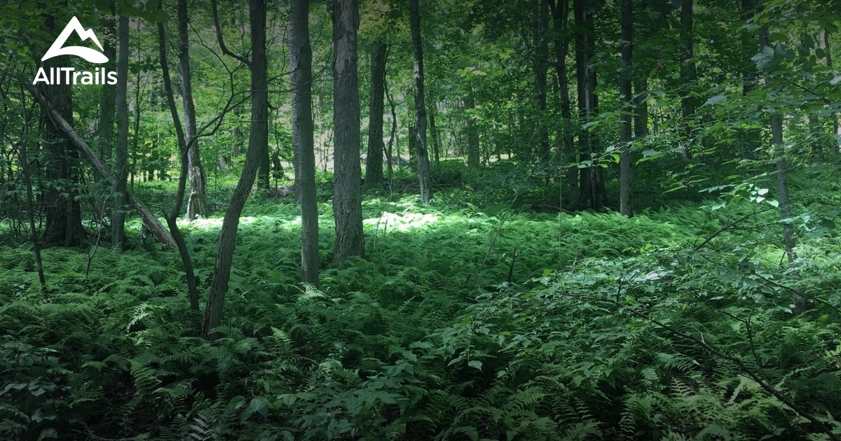 Los mejores senderos para observar aves en Johnson City | AllTrails