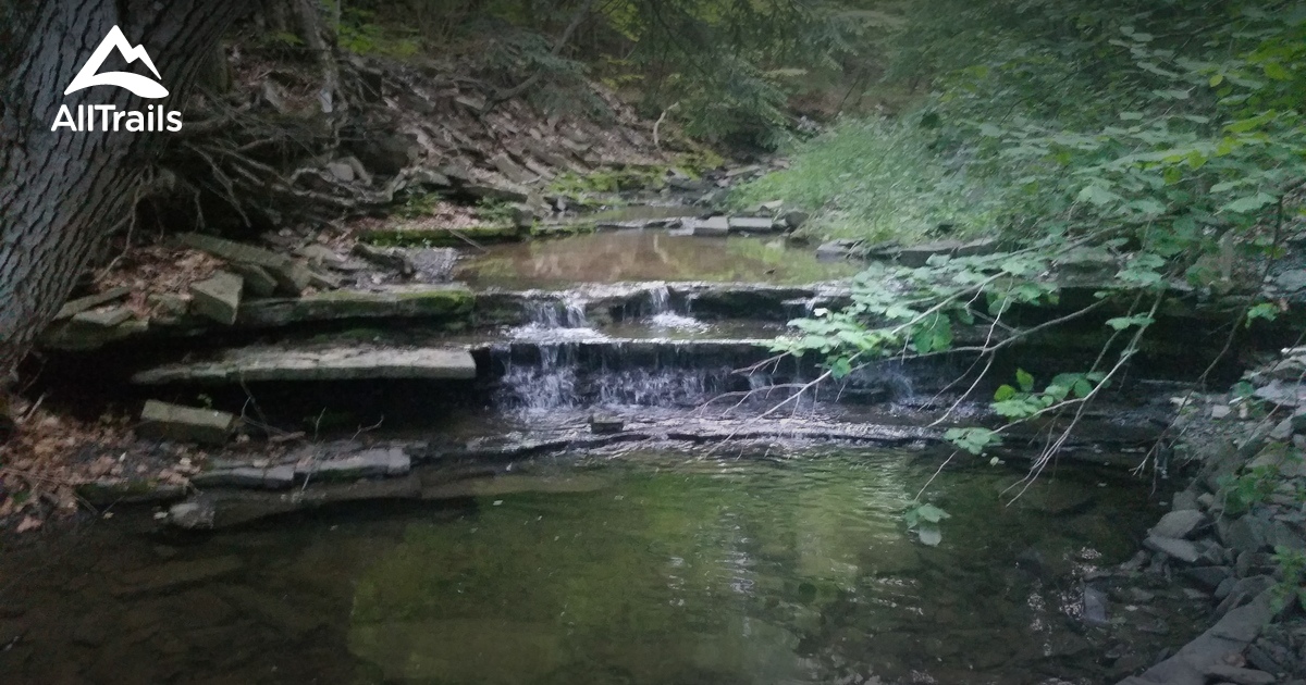 Best hikes and trails in Knox | AllTrails