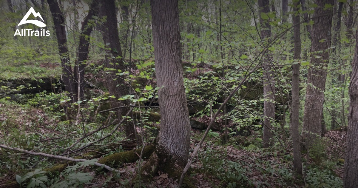 Best hikes and trails in Little Valley | AllTrails