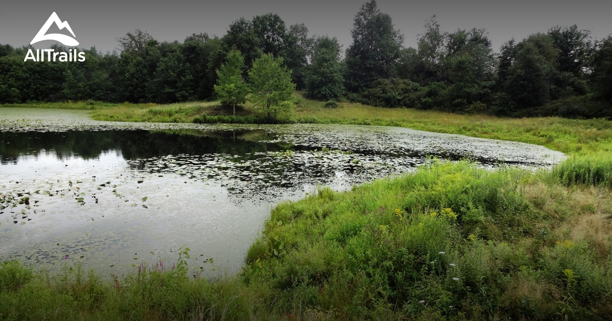 Best hikes and trails in Maybrook | AllTrails