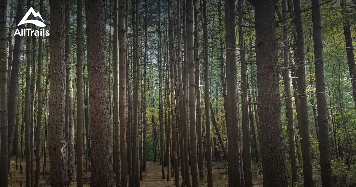 Best hikes and trails in Middle Island | AllTrails