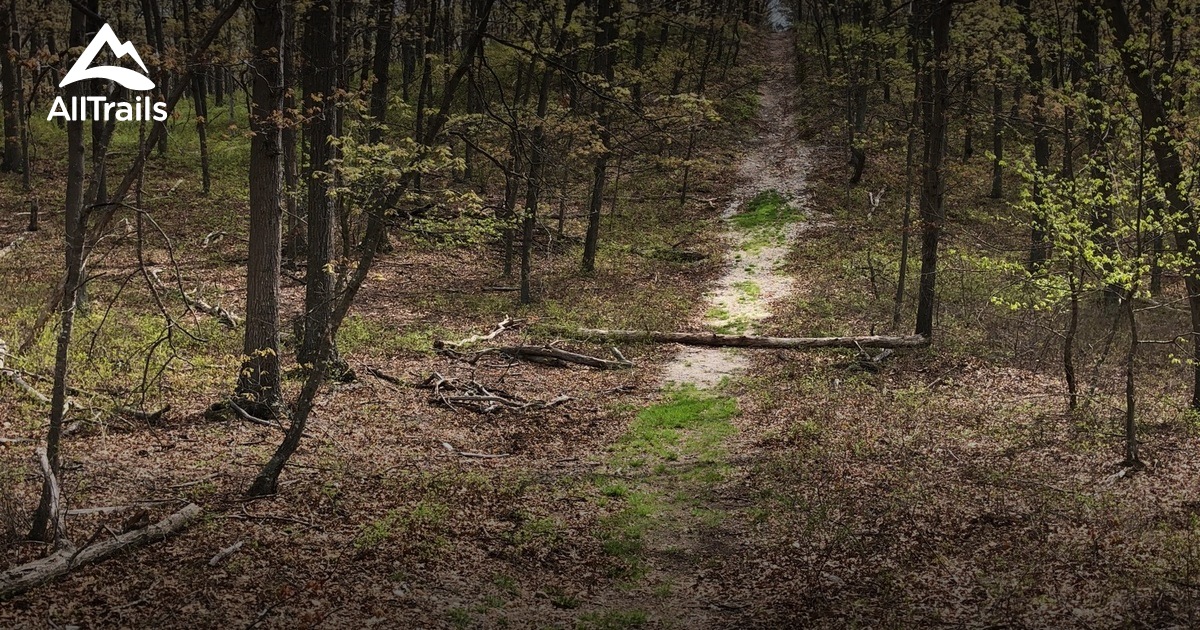 Best views trails in Miller Place | AllTrails