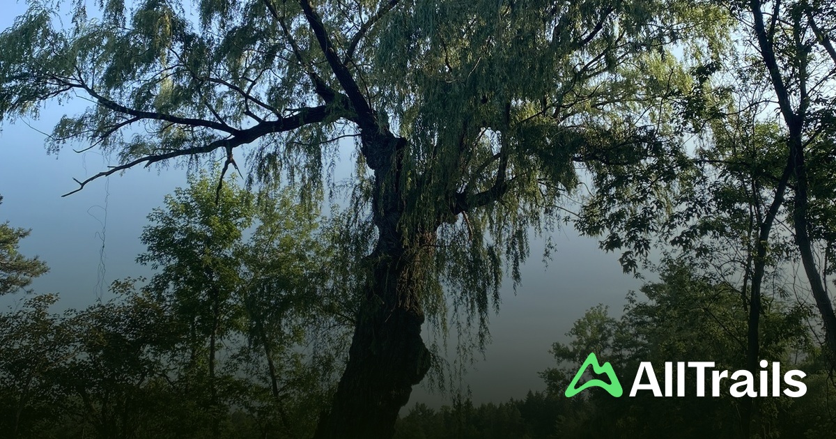 Best hikes and trails in Model City | AllTrails