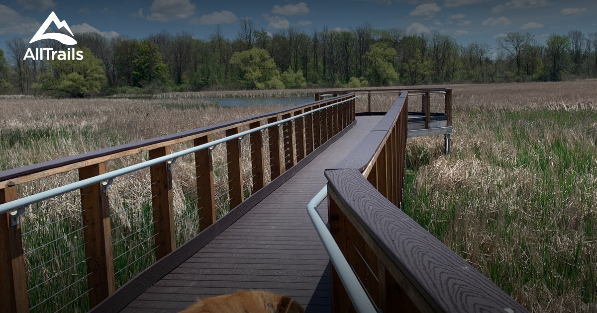 Best hikes and trails in Morton | AllTrails