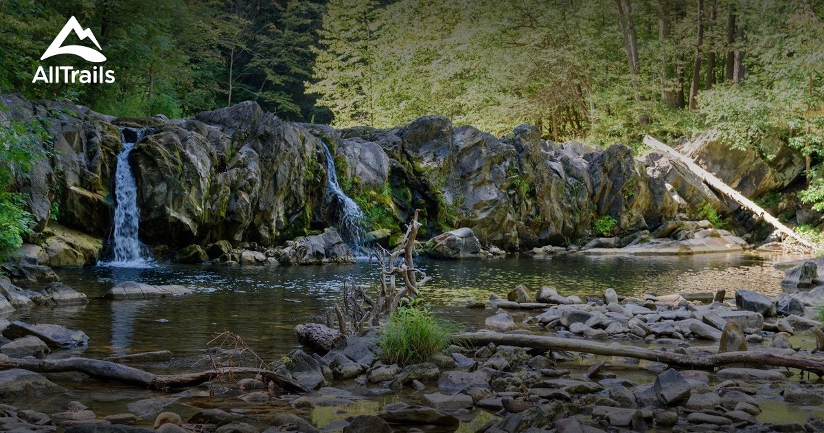 Best hikes and trails in New Baltimore | AllTrails