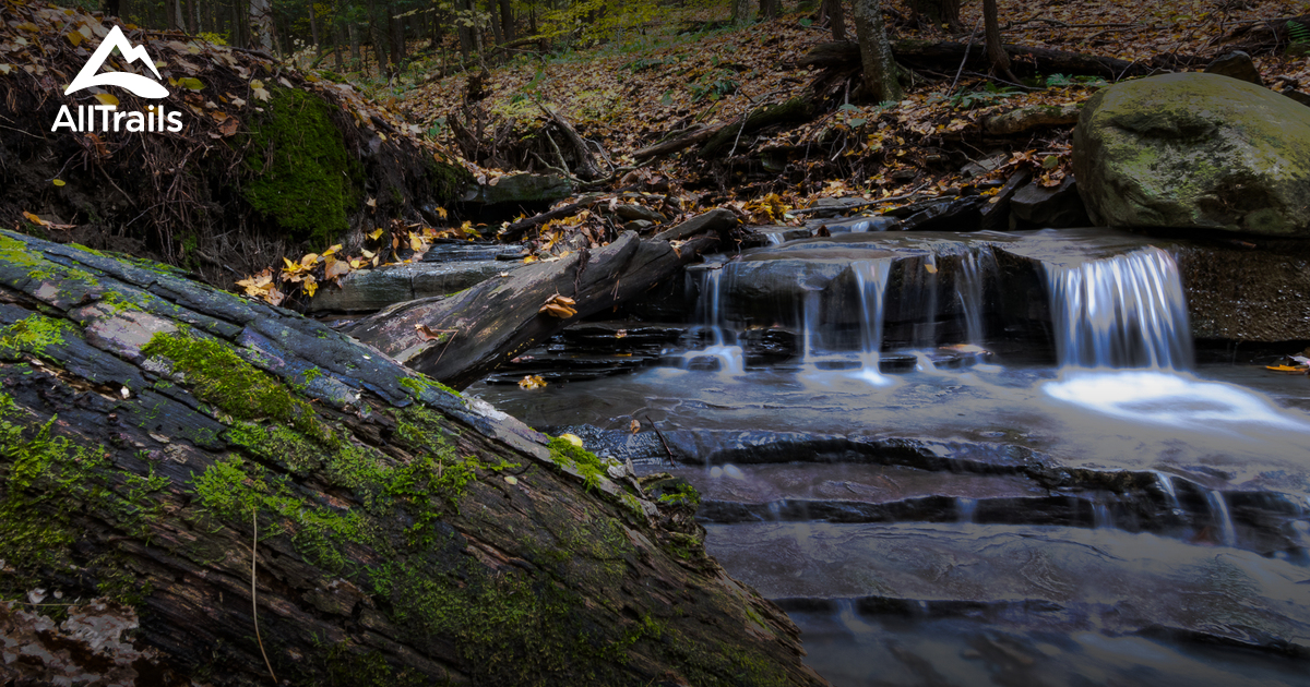 Best Trails near Newfield, New York | AllTrails