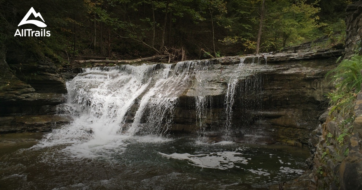 10 Best trails and hikes in Newfield | AllTrails