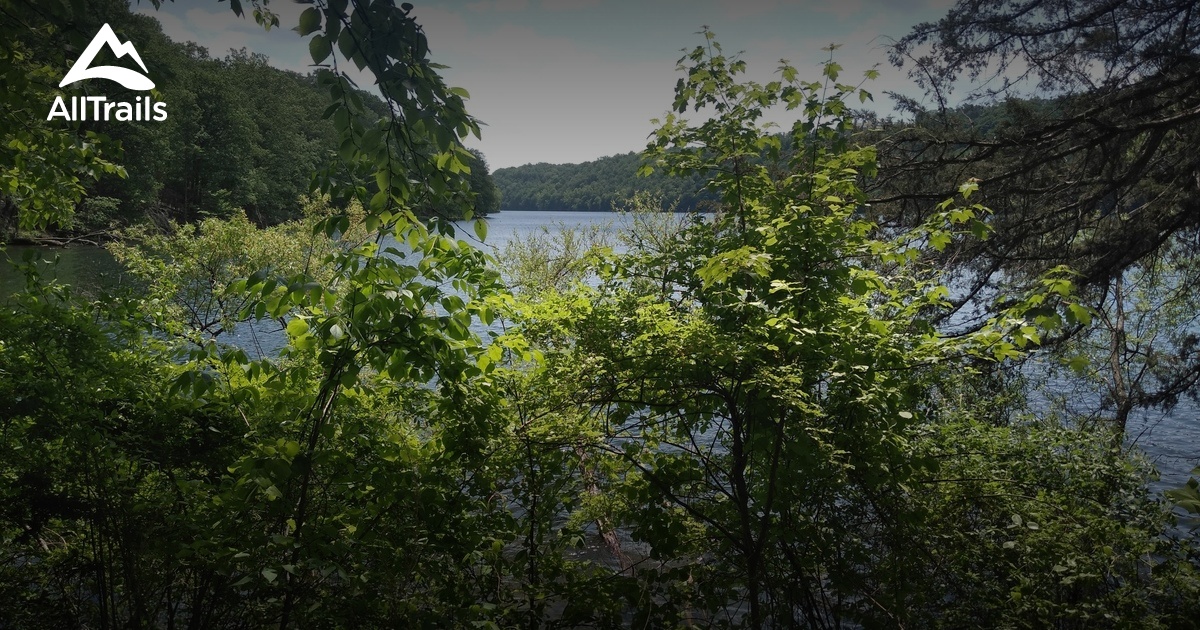 Best hikes and trails in North Castle | AllTrails