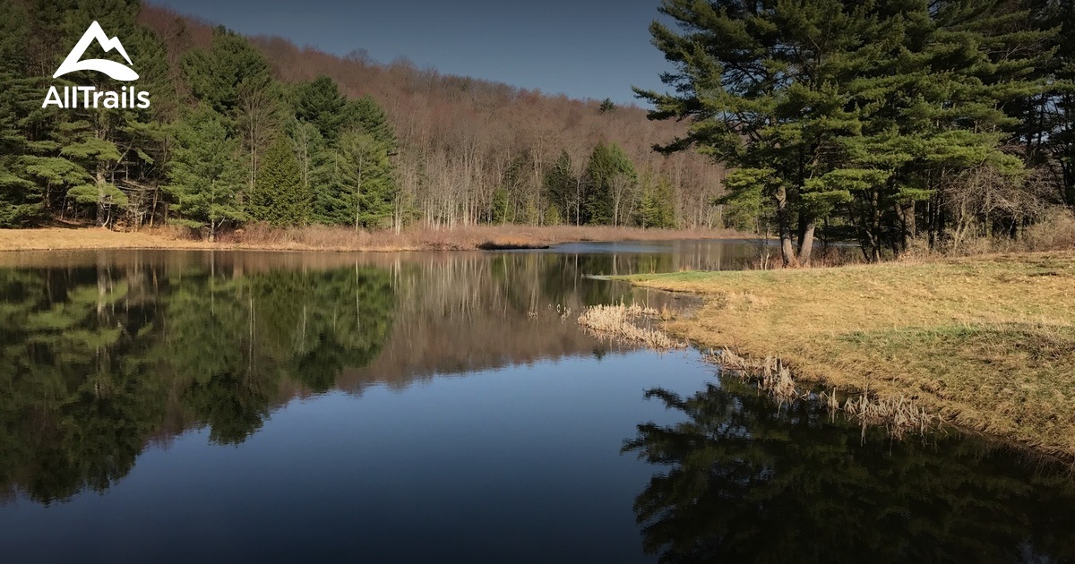 Best hikes and trails in North Norwich | AllTrails