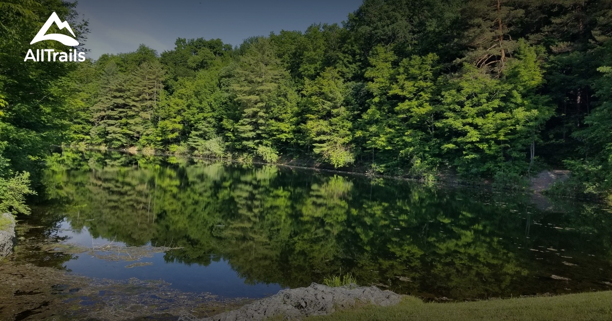 Best hikes and trails in Oneida | AllTrails