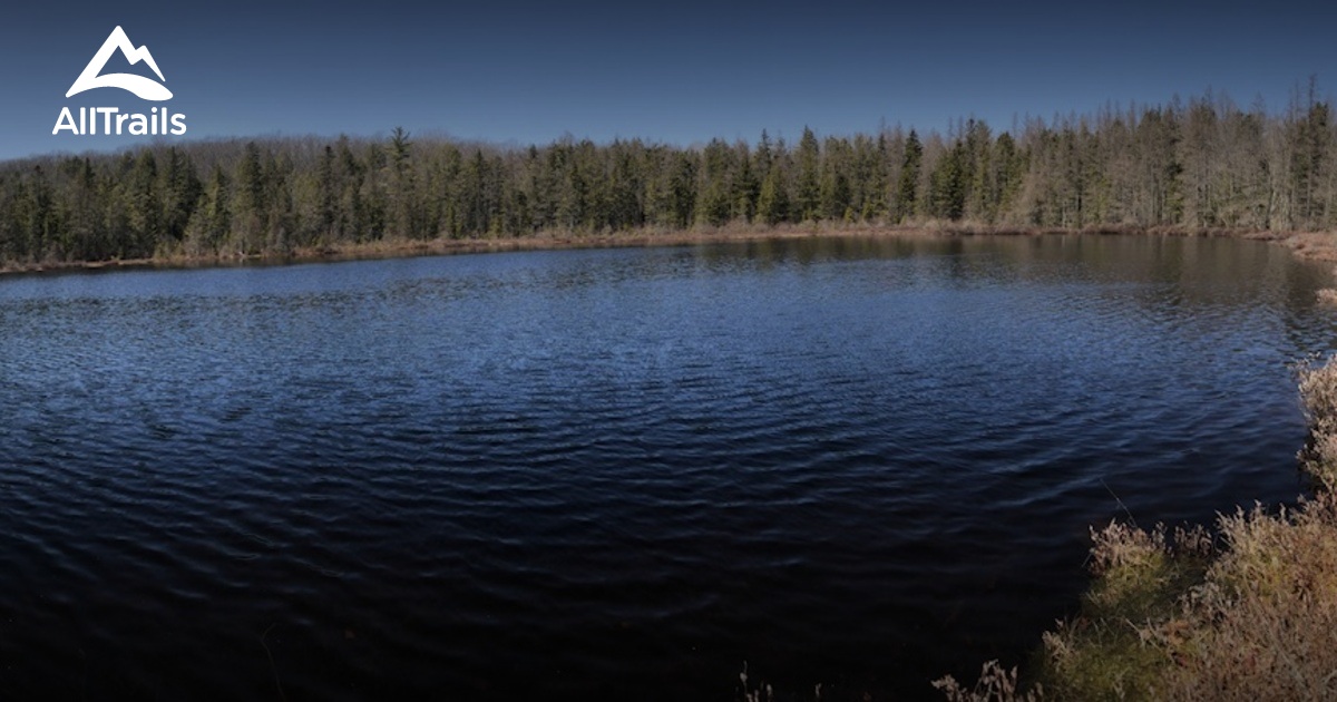 10 Best trails and hikes in Oneonta | AllTrails