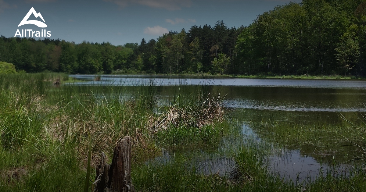 Best walking trails in Owego | AllTrails