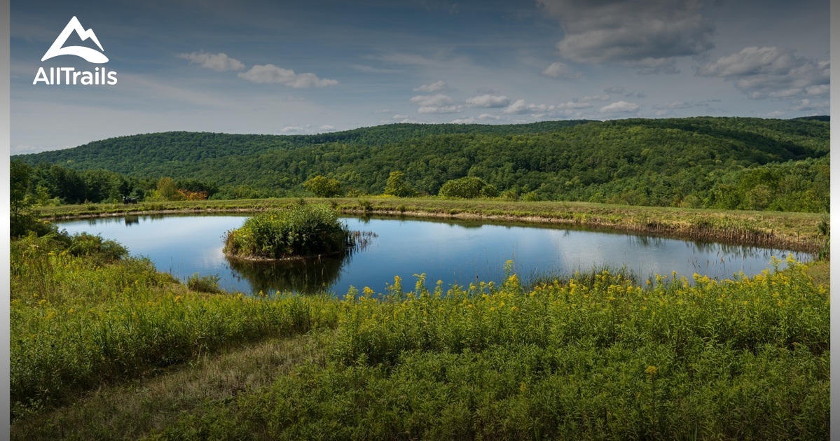 Best easy trails in Painted Post | AllTrails