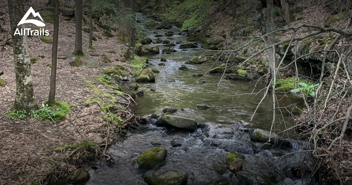 Best bird watching trails in Patterson | AllTrails