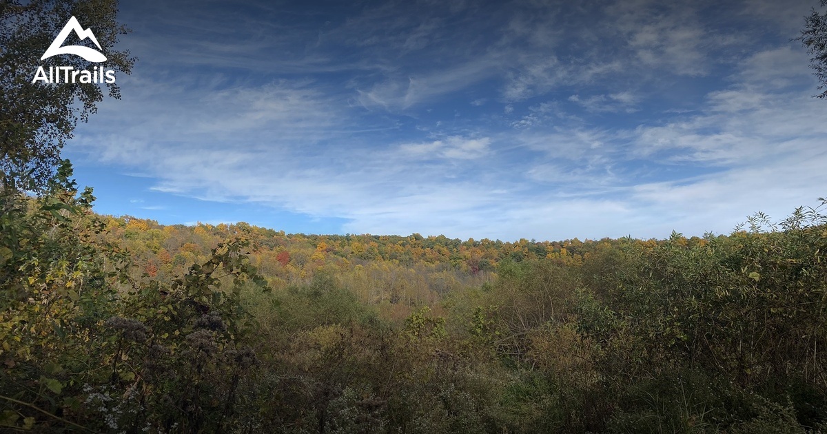 Best forest trails in Perry | AllTrails