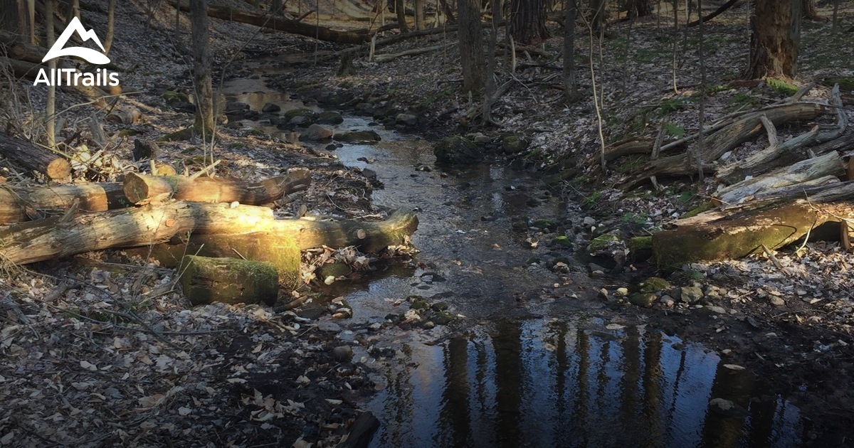 Best forest trails in Phoenix | AllTrails