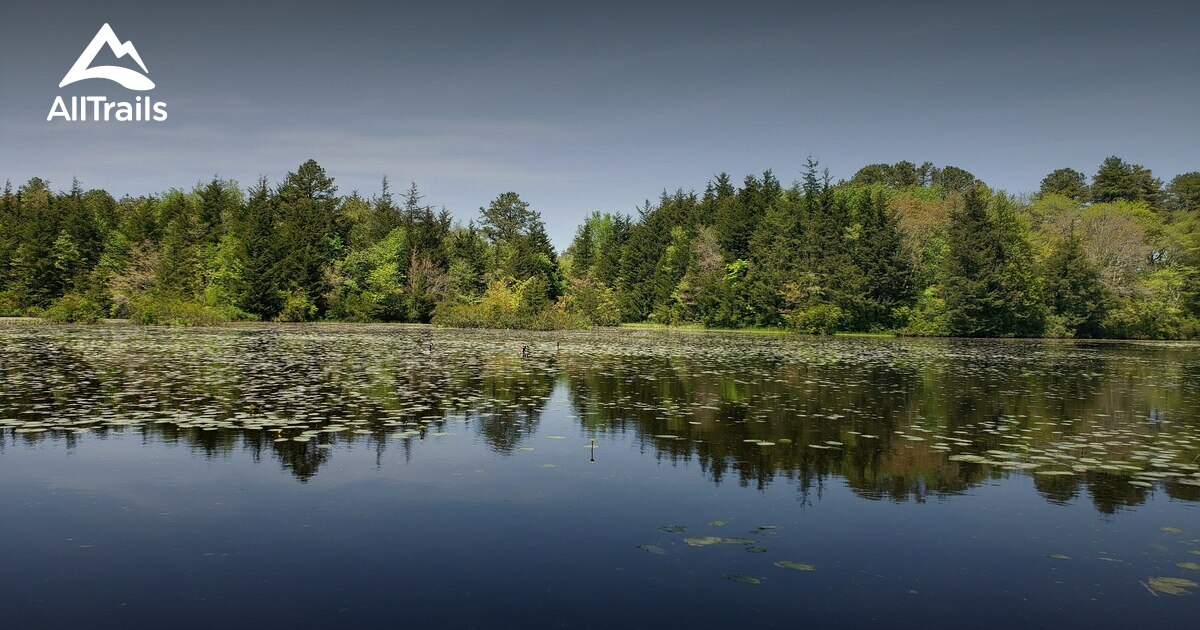 Best hikes and trails in Riverhead | AllTrails