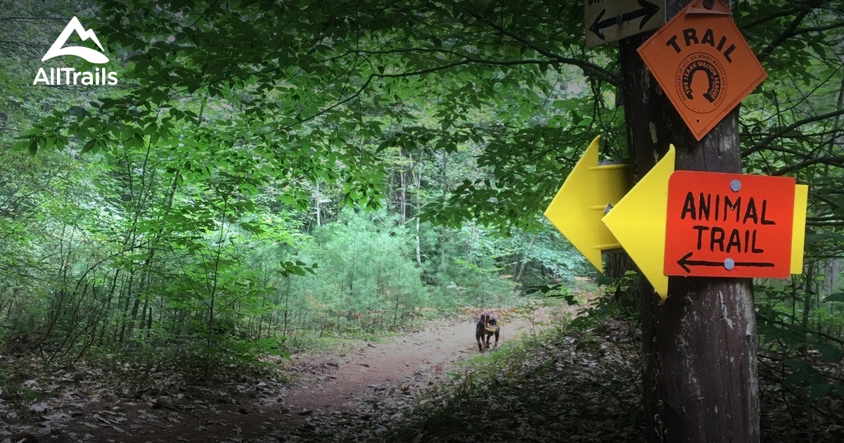 Hiking Rome THE 15 BEST Rome Hiking & Camping Tours (with Prices)