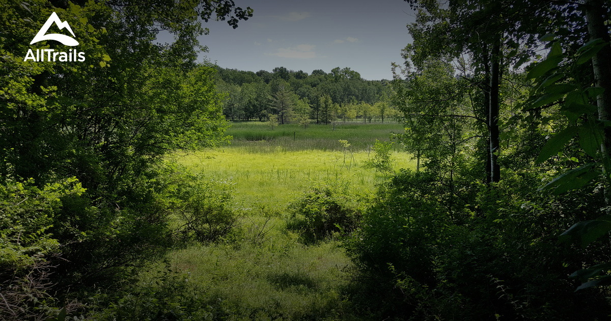 De beste routes om te vogelen in Rush | AllTrails