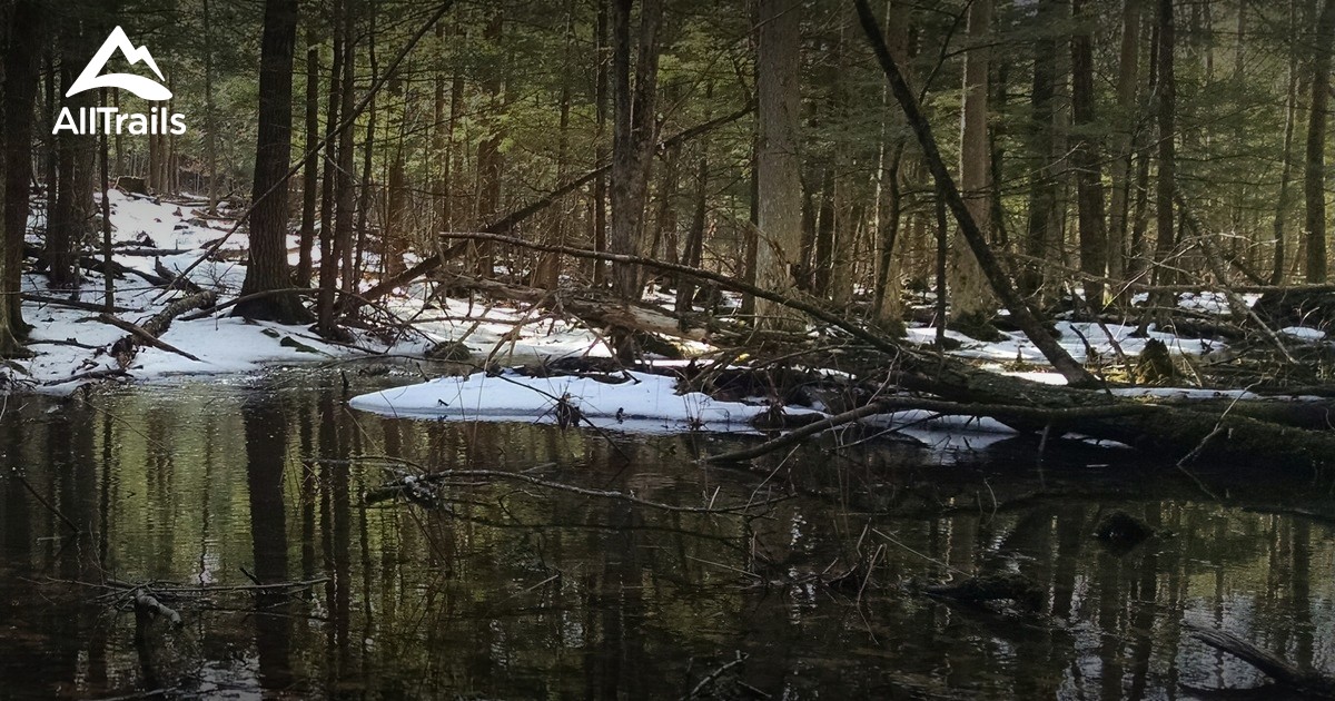 Best hikes and trails in Sand Lake | AllTrails