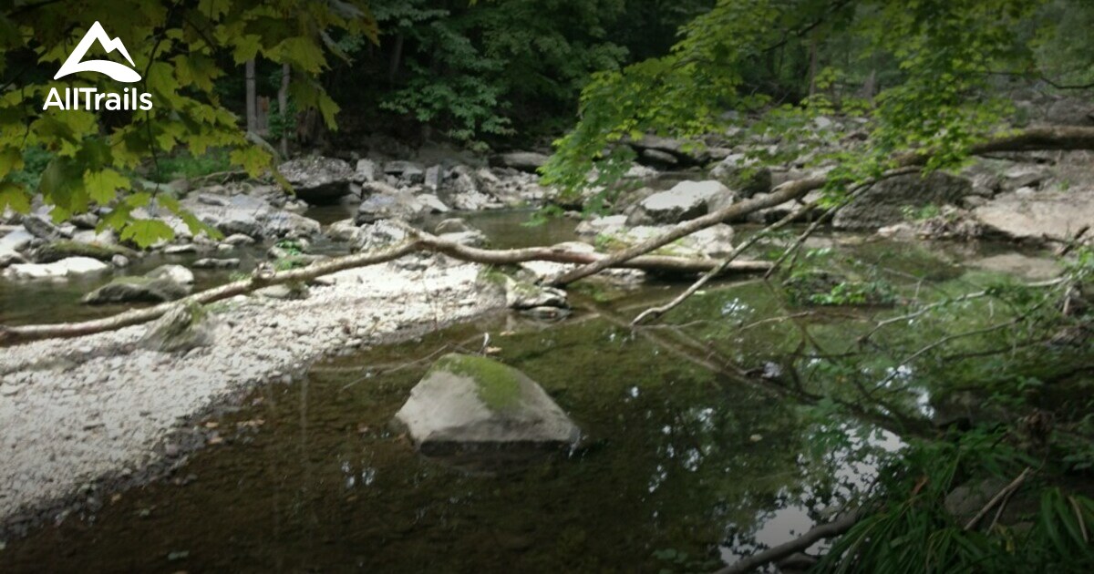 Best forest trails in Selkirk | AllTrails