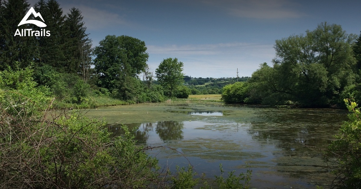 10 Best trails and hikes in Sherburne | AllTrails