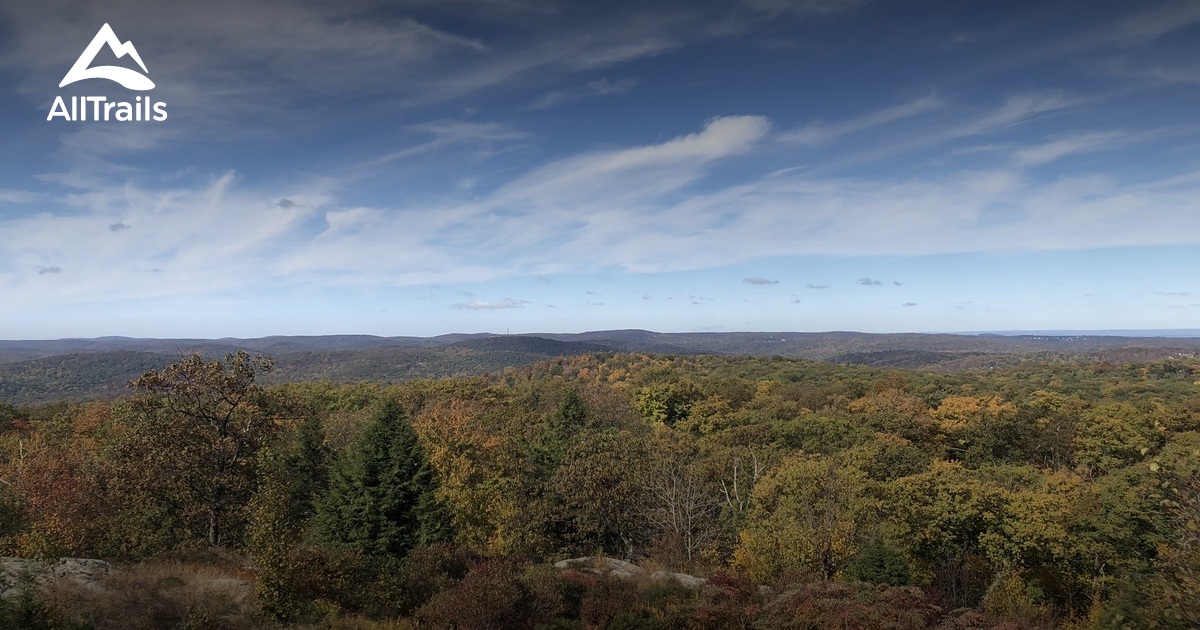 Los mejores senderos fácilesen Southfields | AllTrails