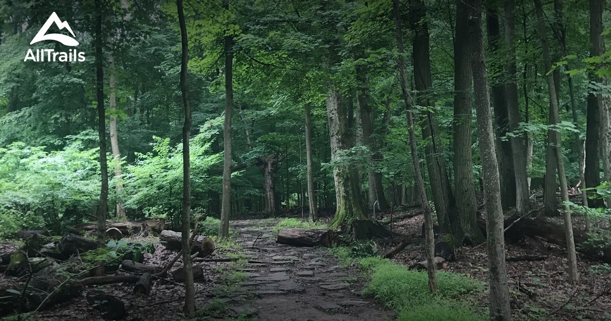 Best hikes and trails in Sparkill | AllTrails