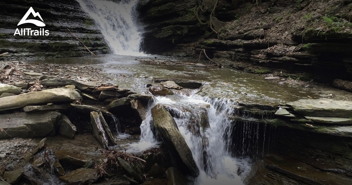 Best Trails near Springwater, New York | AllTrails.com