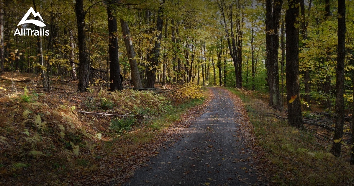 Best forest trails in Summit | AllTrails