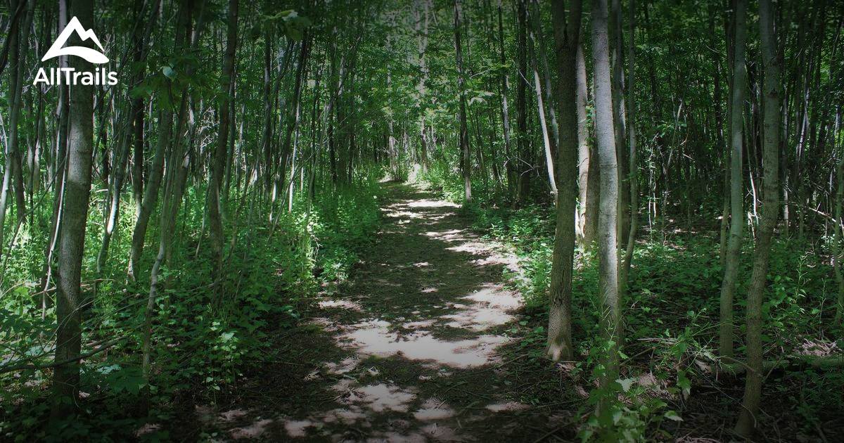 Best easy trails in Walworth | AllTrails