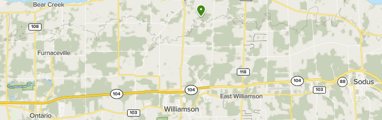 Best Hikes and Trails in Williamson | AllTrails