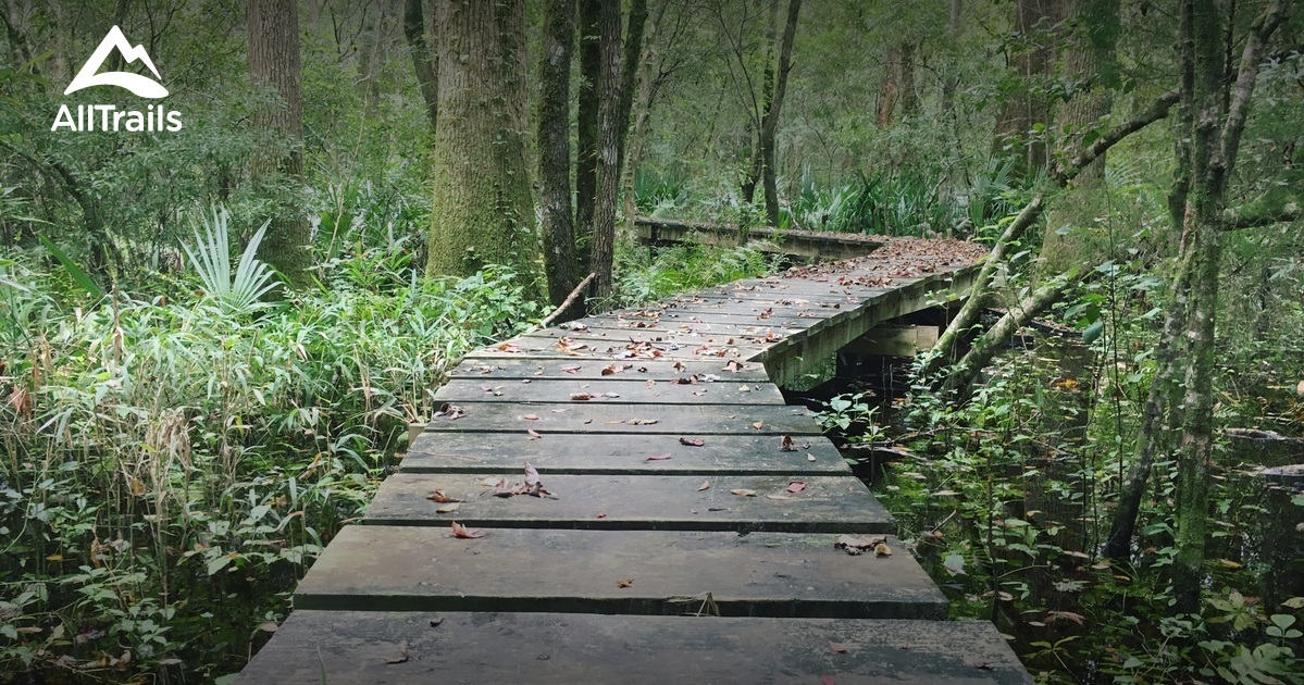 Die Besten Routen mit Leinenpflicht in Cherry Point | AllTrails