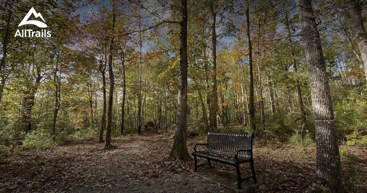 Best forest trails in Columbia | AllTrails
